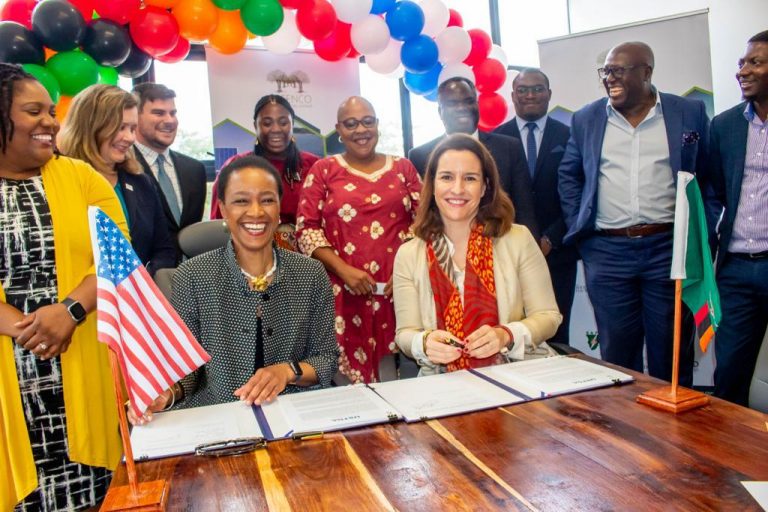 USTDA Funds Battery Energy Storage Expansion in Zambia – USTDA