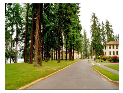 VA Puget Sound, American Lake Psychology Doctoral Internship Program ...